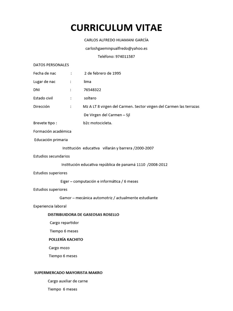 CURRICULUM VITAE DDD | PDF