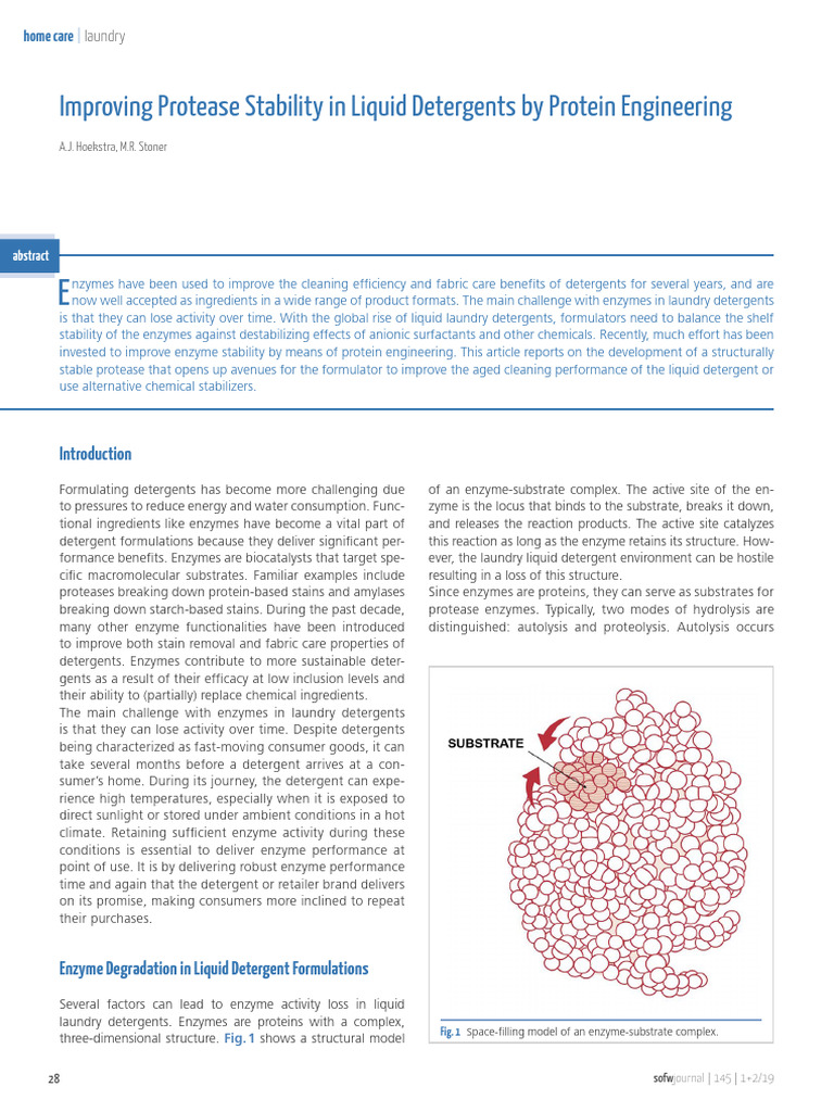 Enhancing Protease Stability in Detergents | PDF | Enzyme | Detergent