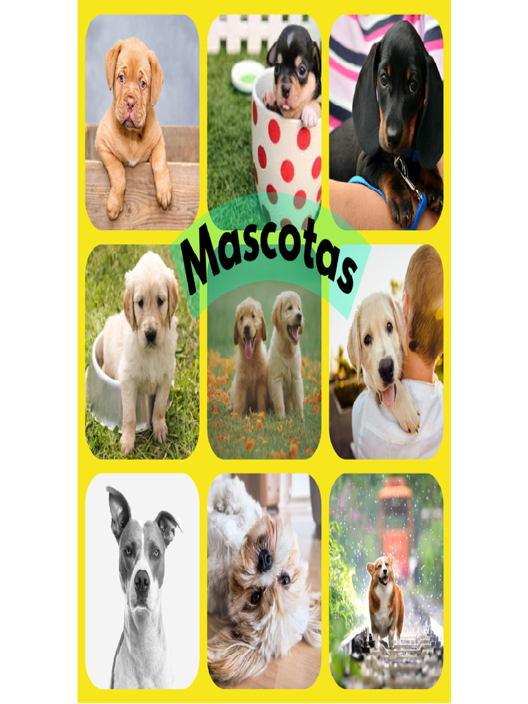 BeFunky Collage | PDF