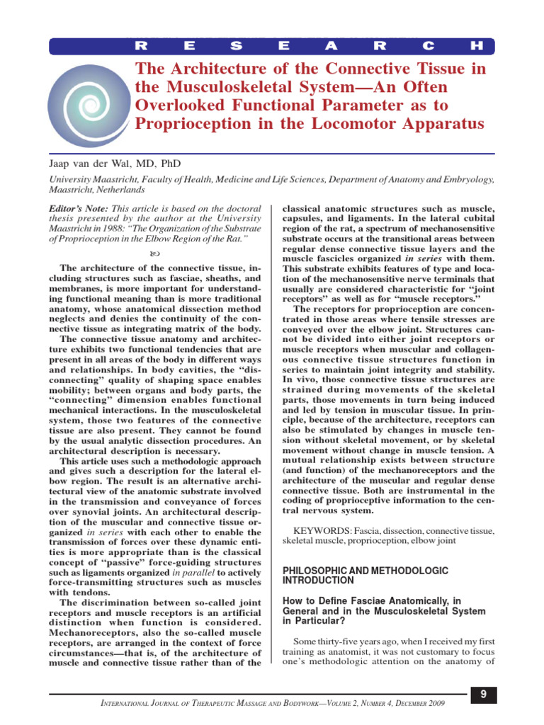 Architecture of | PDF | Connective Tissue | Human Musculoskeletal System