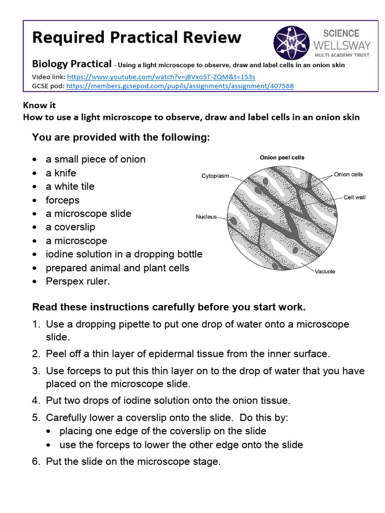 Practical-Booklet Microscopes | PDF | Cellular Respiration | Mitochondrion