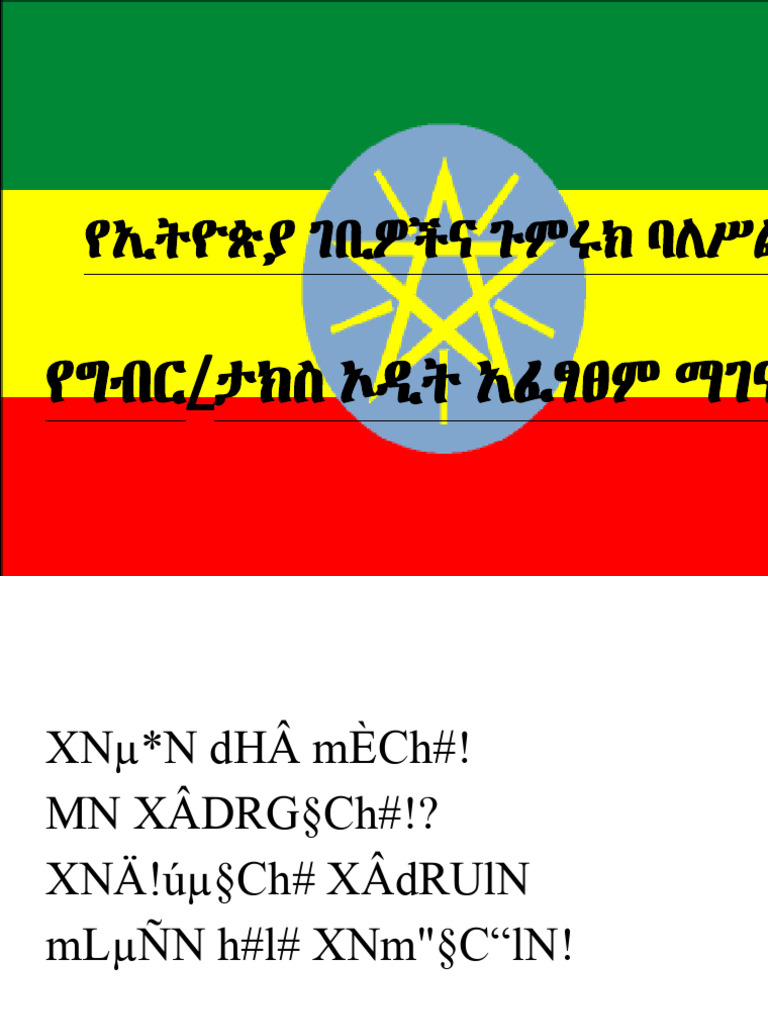 Tax Audit in ERCA Tax Directives of Revenue Ministry in Ethiopia | PDF