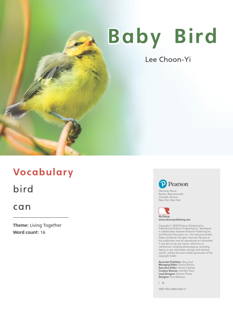 BABY BIRD Booklet Web | PDF
