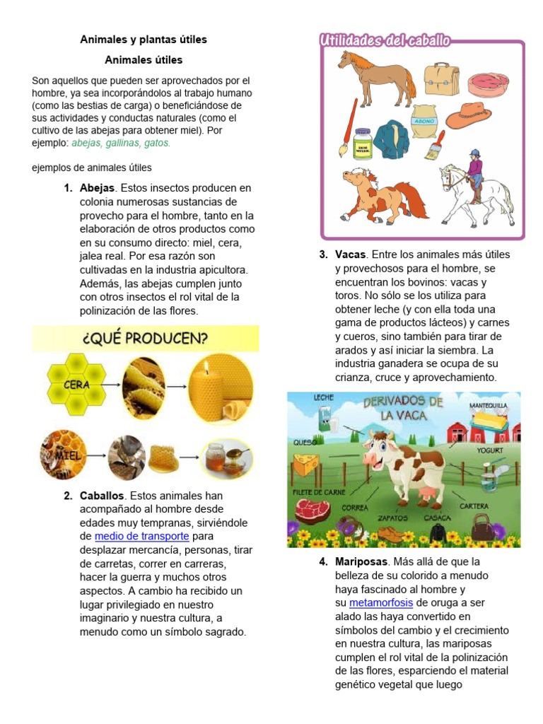 Animales útiles | PDF | Oveja | Vacas