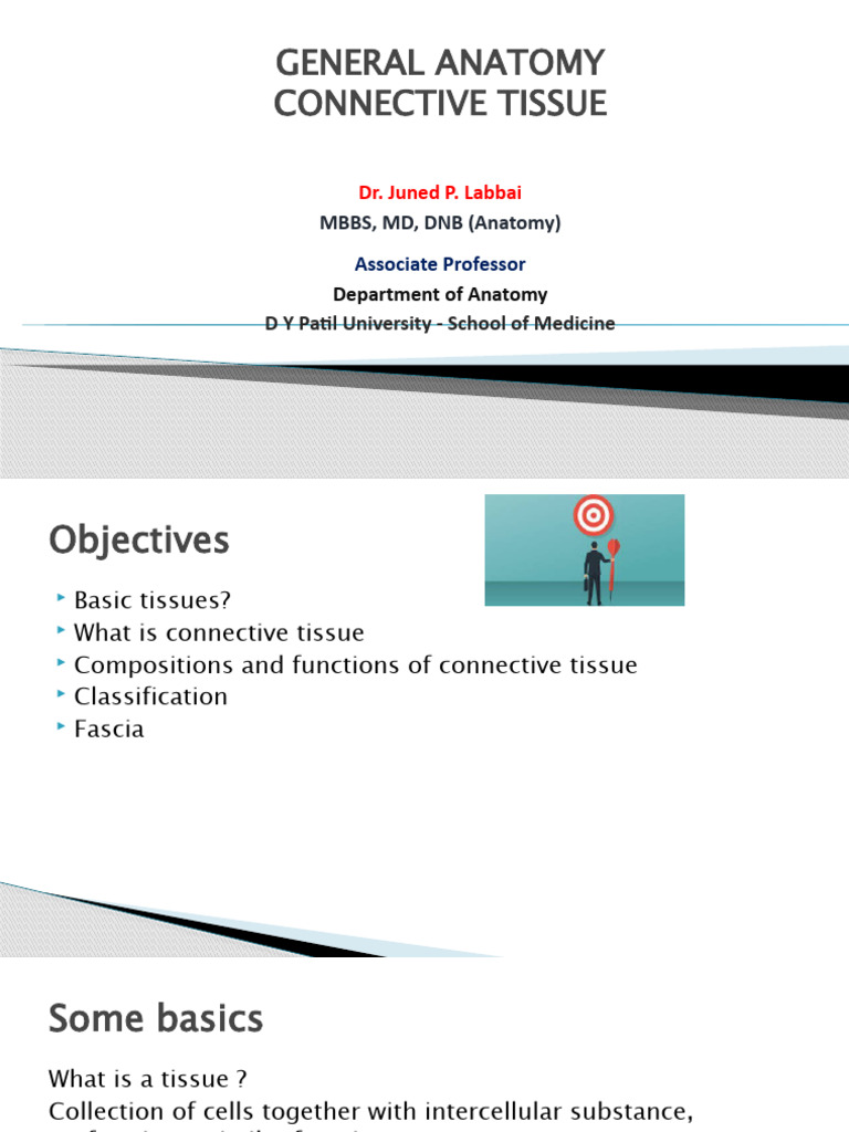 General Anatomy Connective Tissue | Download Free PDF | Connective ...