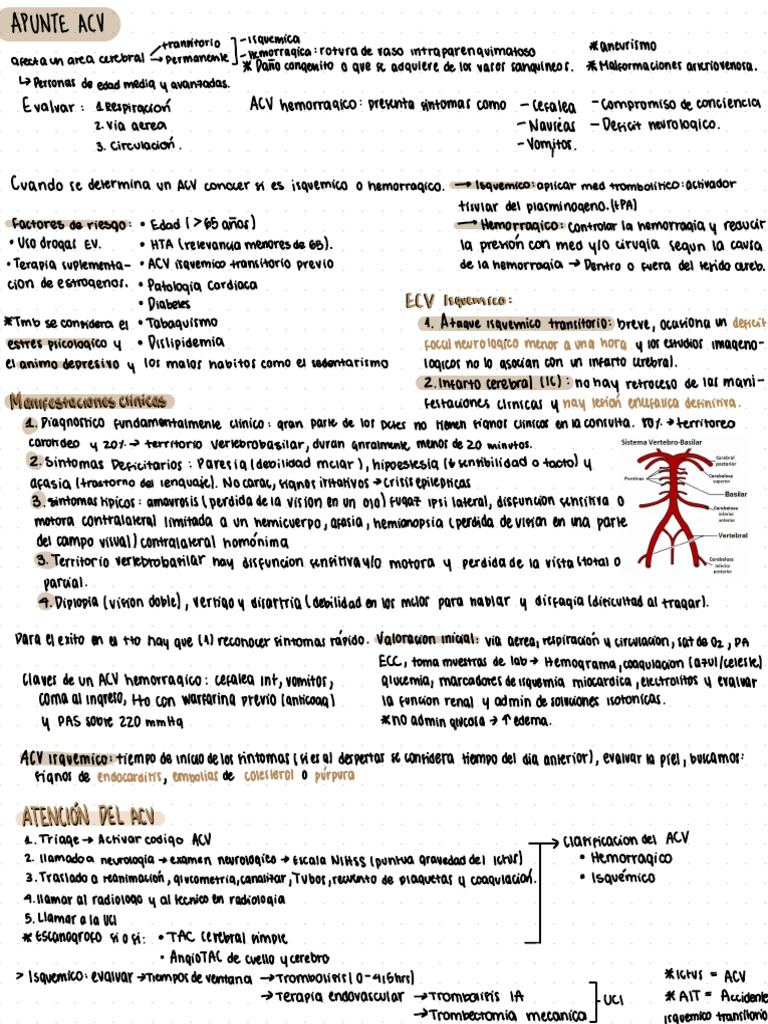 Resumen Articulos acv | PDF | Carrera | Isquemia
