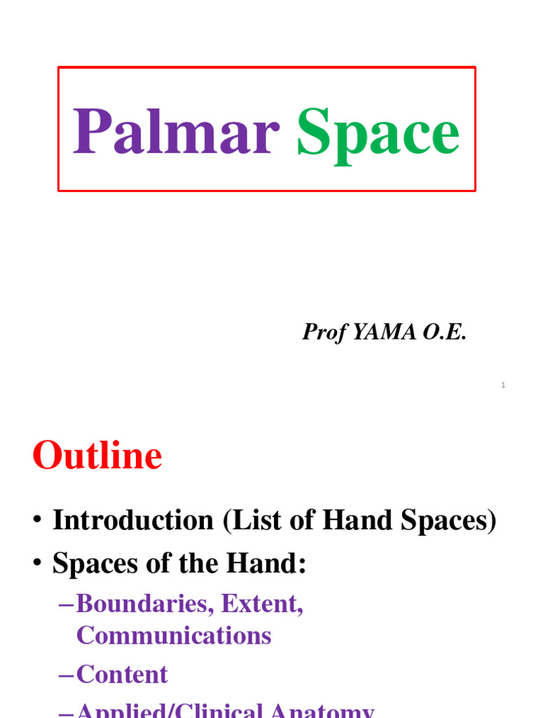 Palmar Space | PDF | Finger | Hand