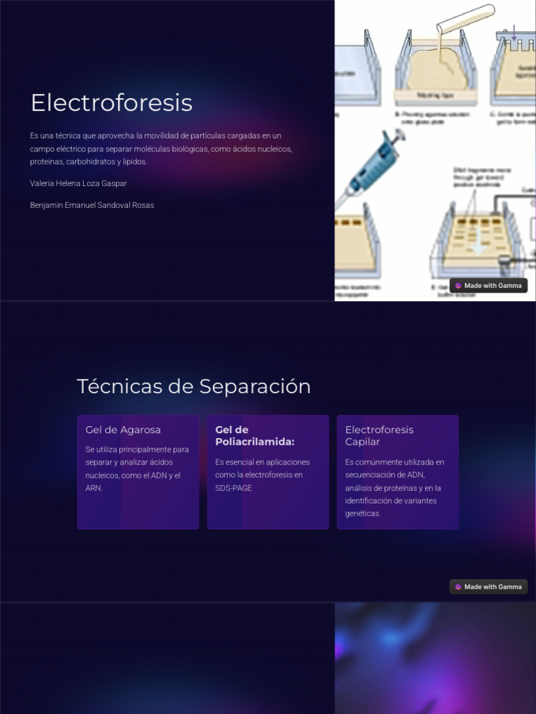 Electroforesis | PDF | Electroforesis | Adn