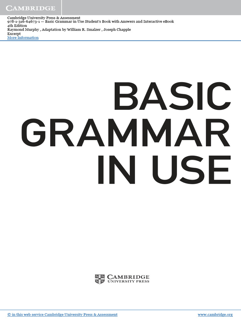 Basic Grammar in Use | PDF