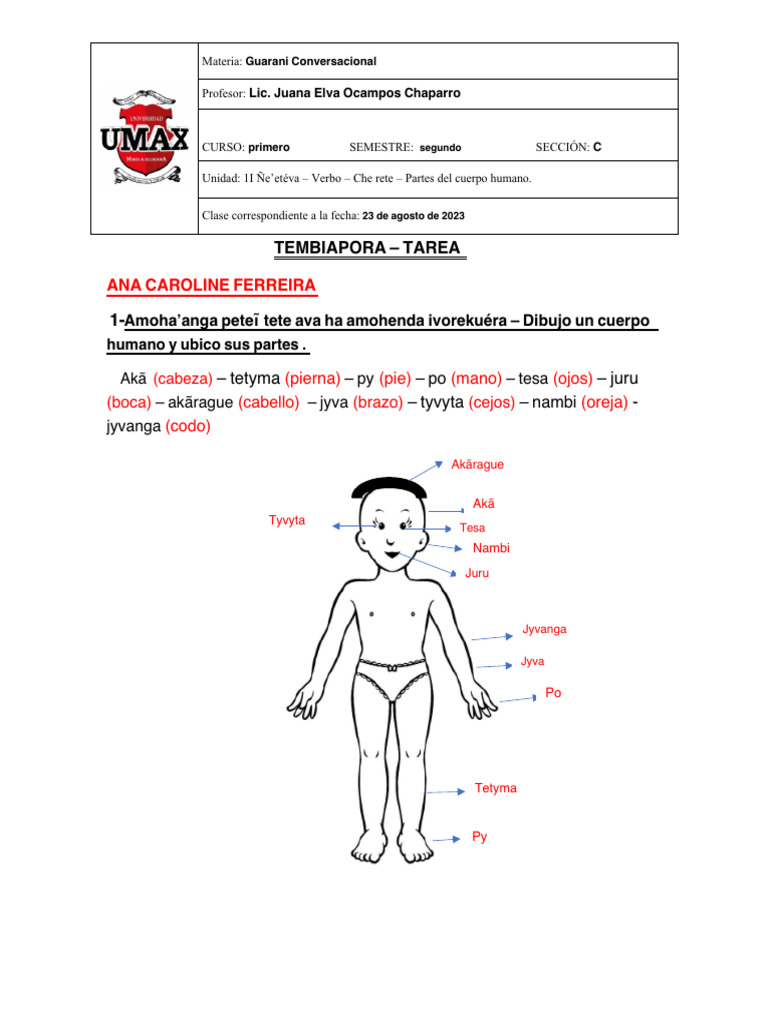 2do Sem. Guarani Conversacional Clase 3 Tarea Grupo C 2023.2 (1) 2 | PDF