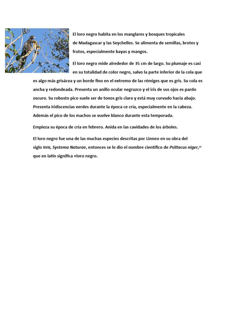 Loro Negro: Hábitat y Características | PDF | Hogar, jardinería y bricolaje