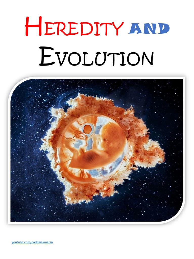 Heredity and Evolution Notes PDF | PDF | Ploidy | Heredity