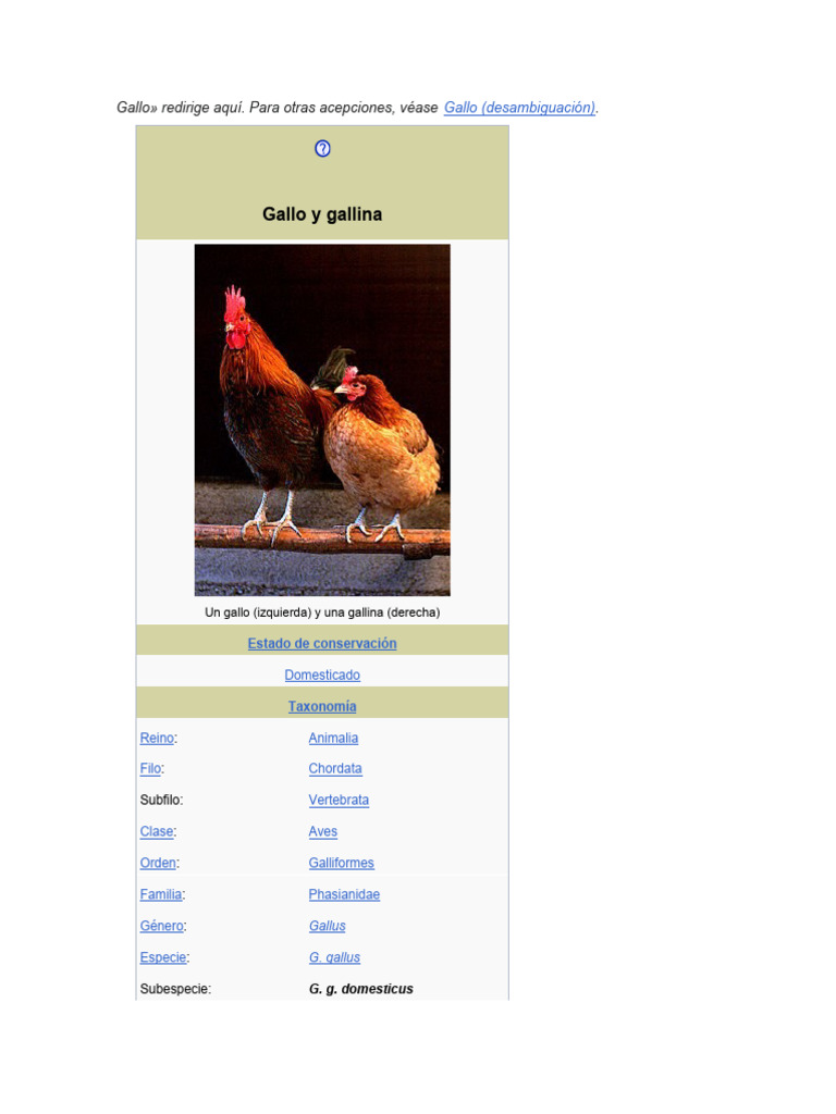 Taxonomía de la gallina y el gallo | PDF