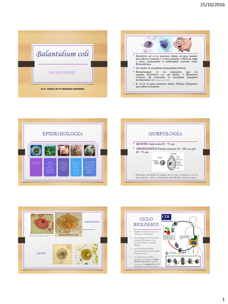 Balantidiasis: Ciclo y Síntomas de B. coli | PDF | Especialidades ...