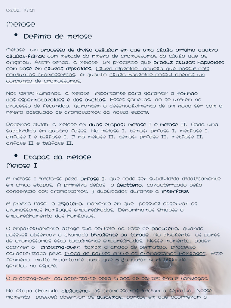 Resumo Sobre Meiose E Mitose Pdf Meiose Mitose