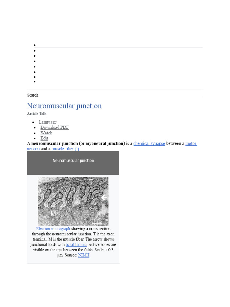Neuromuscular Junction | PDF | Neuromuscular Junction | Chemical Synapse Neuromuscular Junction | PDF | Neuromuscular Junction | Chemical Synapse