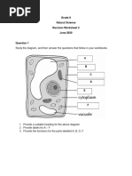 Grade 11 DIGESTIVE SYSTEM LECTURE NOTES | PDF | Human Digestive System ...