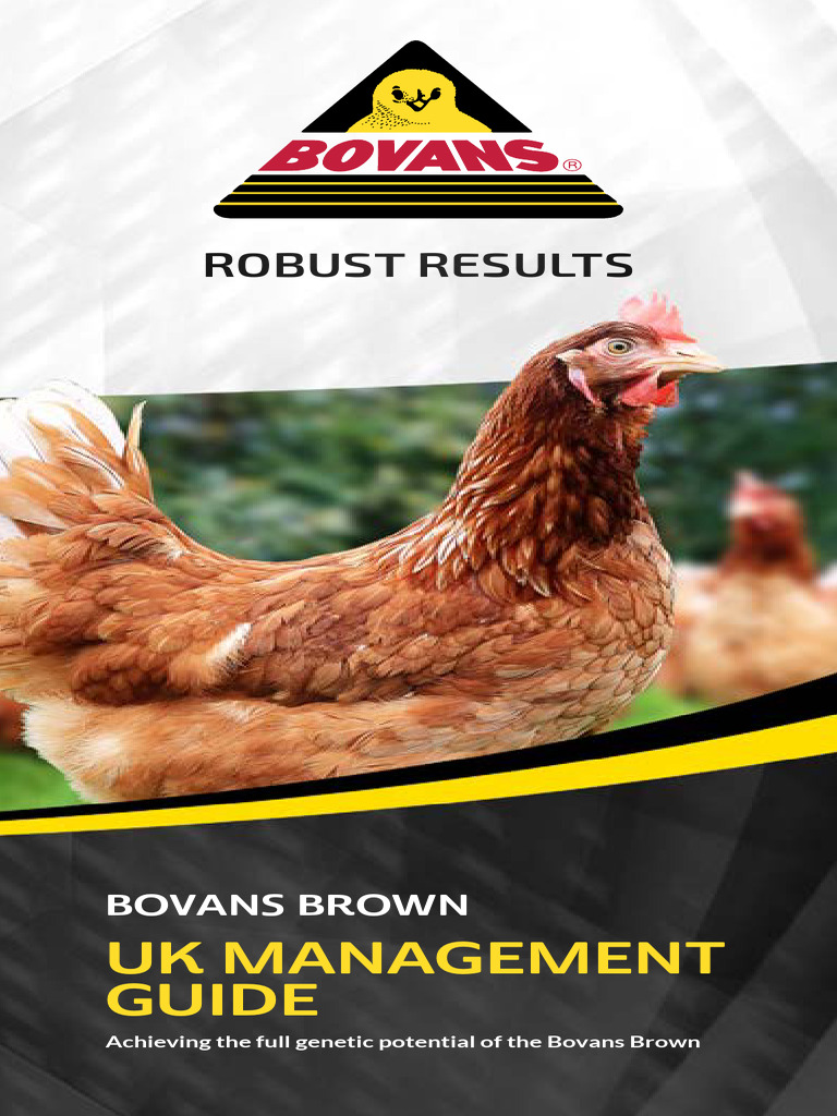 Bovans Brown Management Guide 071021 | Download Free PDF | Poultry ...