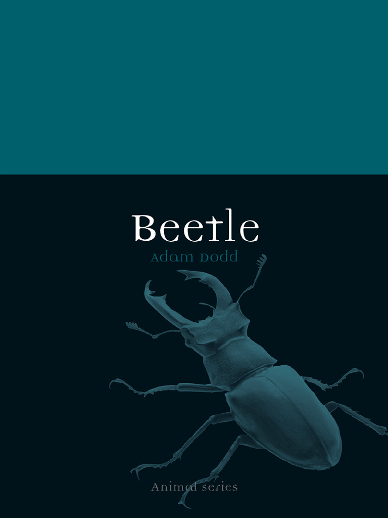 Beetle (Adam Dodd) | PDF