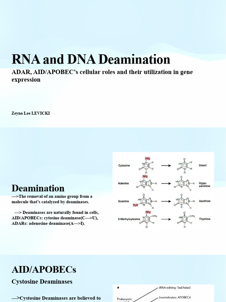 RNA Editing | PDF | Dna | Rna