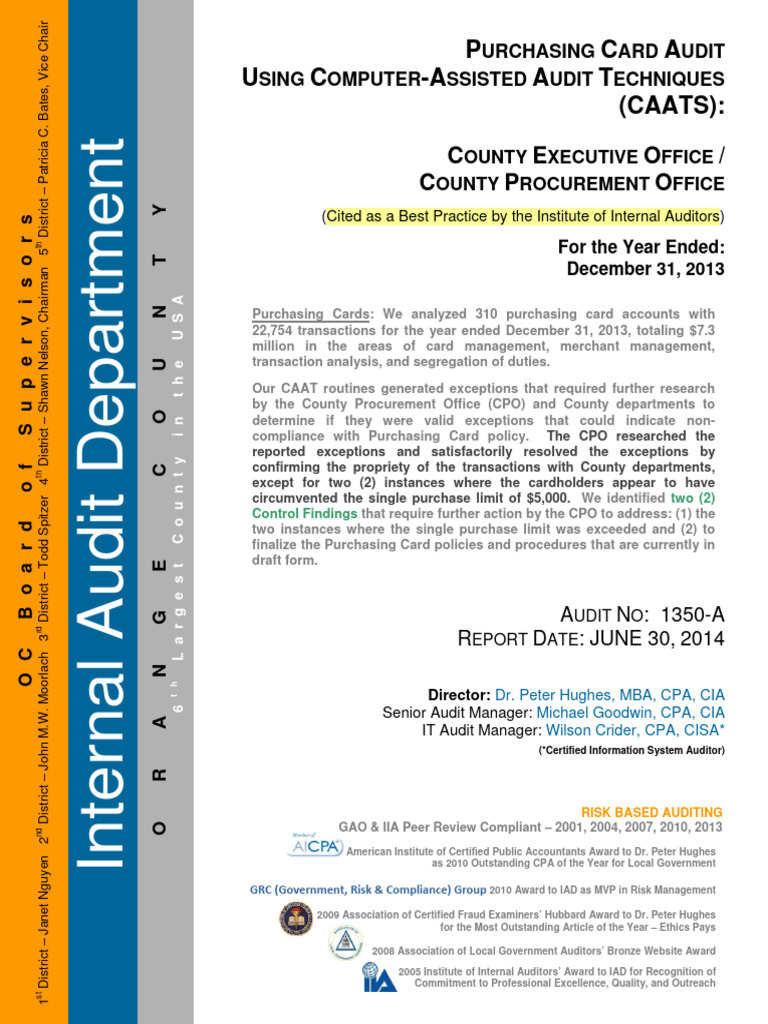 1350 B Payroll Audit Using Computer Assisted Audit Techniques CAATs of Auditor Controller and ...