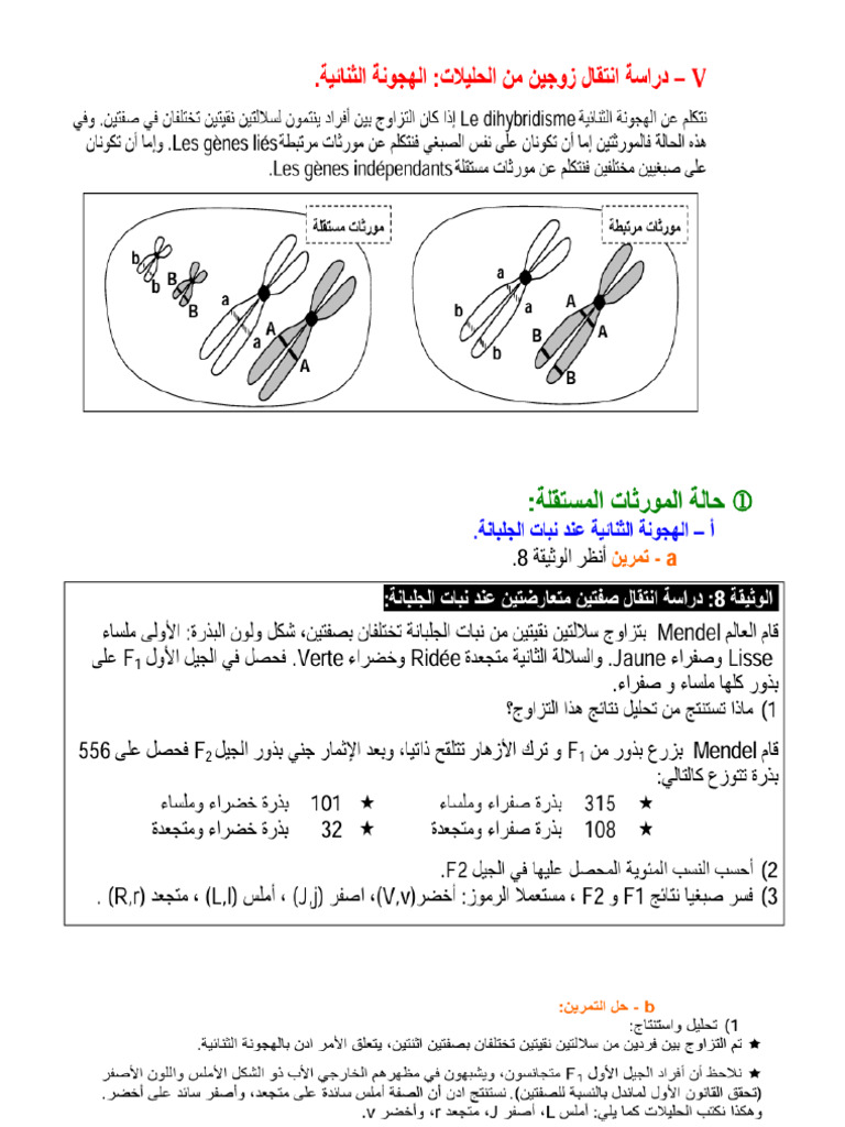 2 BAC Arabe | PDF