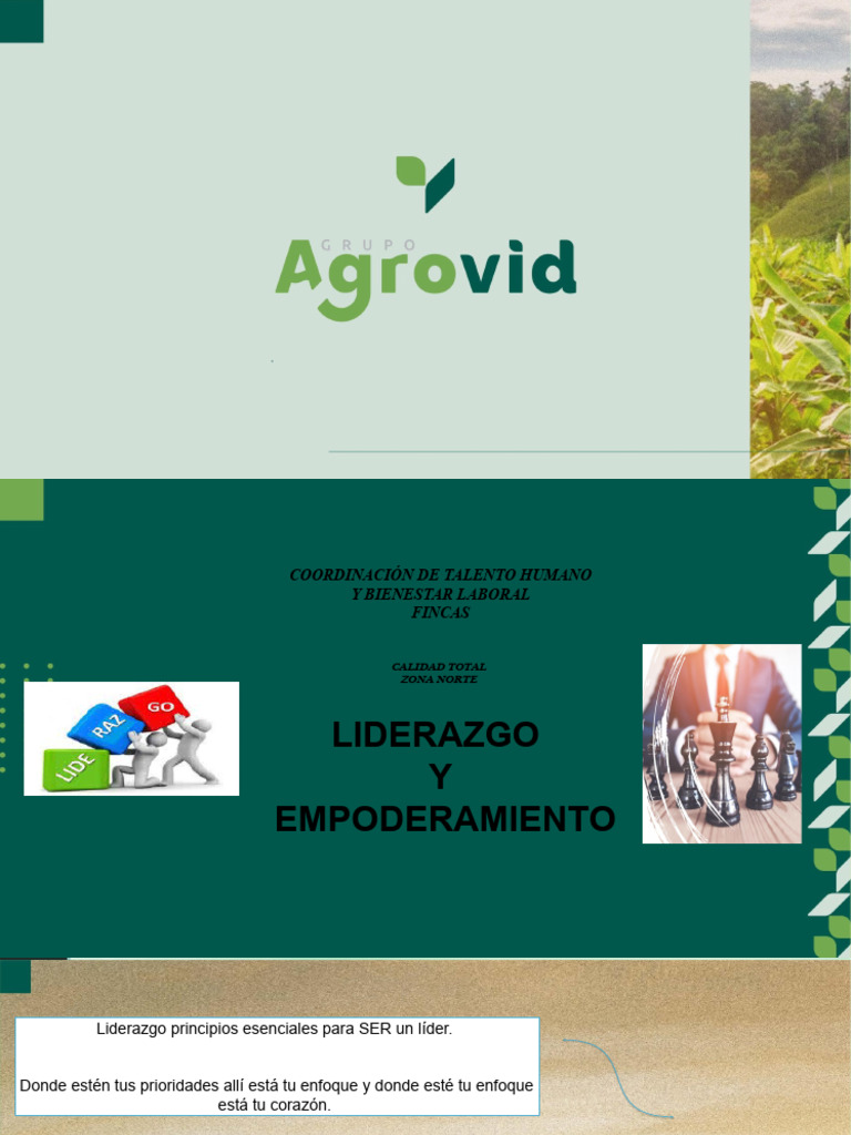 Liderazgo y Epoderamiento | PDF | Liderazgo | Empoderamiento