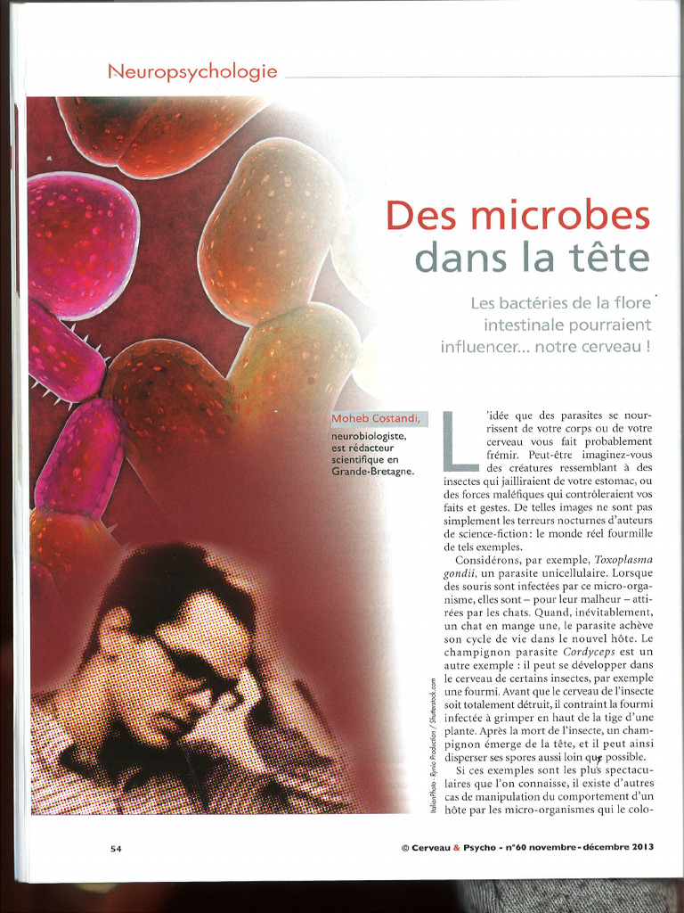 Des Microbes Dans La Tete-Moheb Costandi | PDF