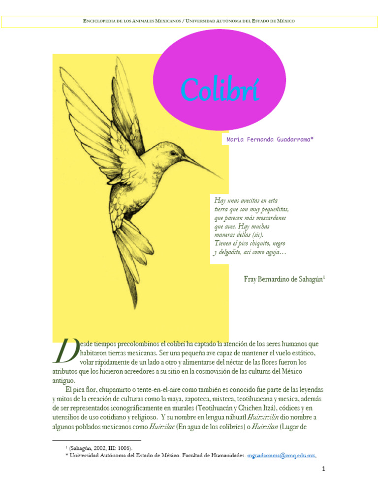 Colibr - Descargable | PDF | México | Cultura de las Americas