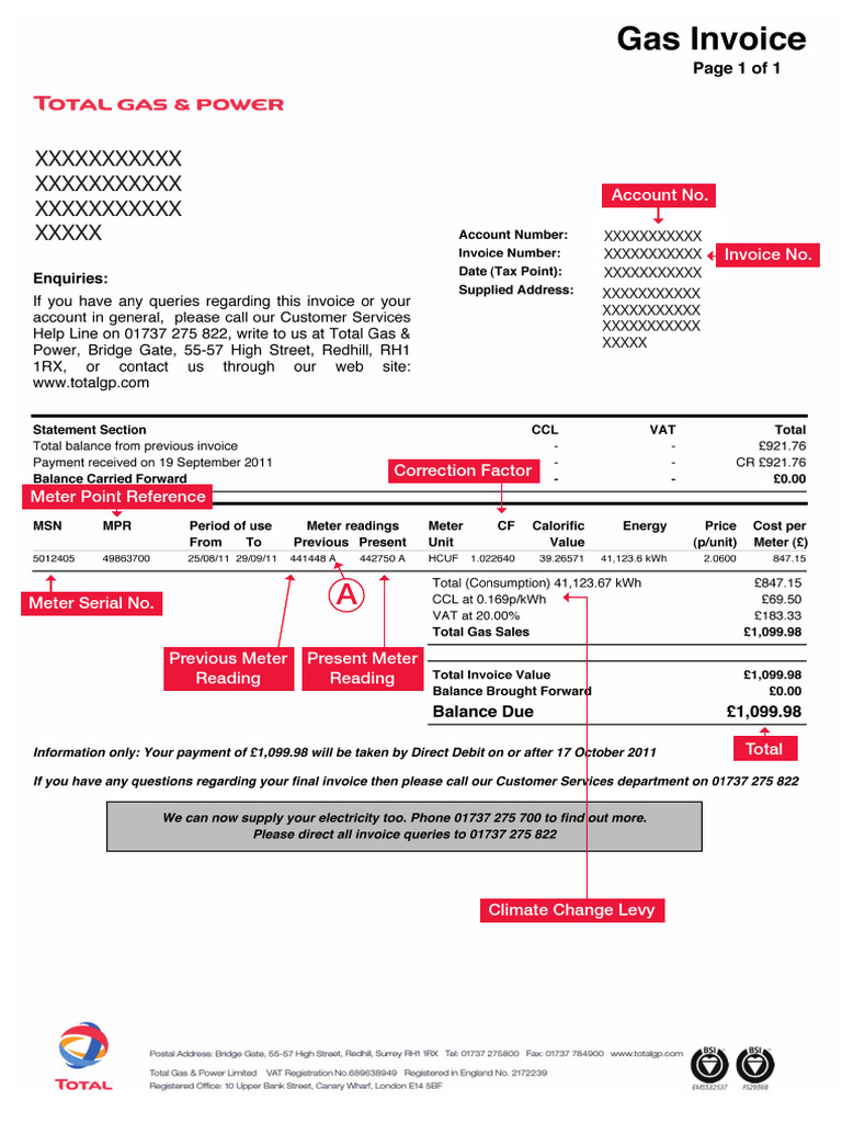 Gas Invoice Details and Summary | PDF