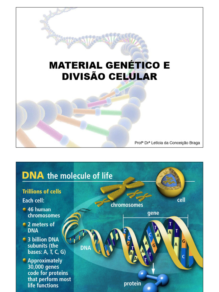 Aula2-Material Genético e Divisão Celular | PDF | Bem-estar | Ciências ...