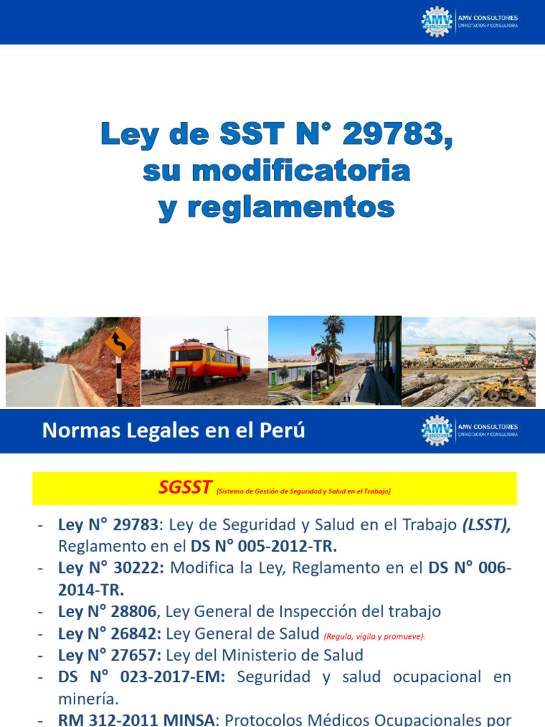 Ley 29783 Y SU REGLAMENTO | PDF | Derecho laboral | Seguridad y salud ocupacional