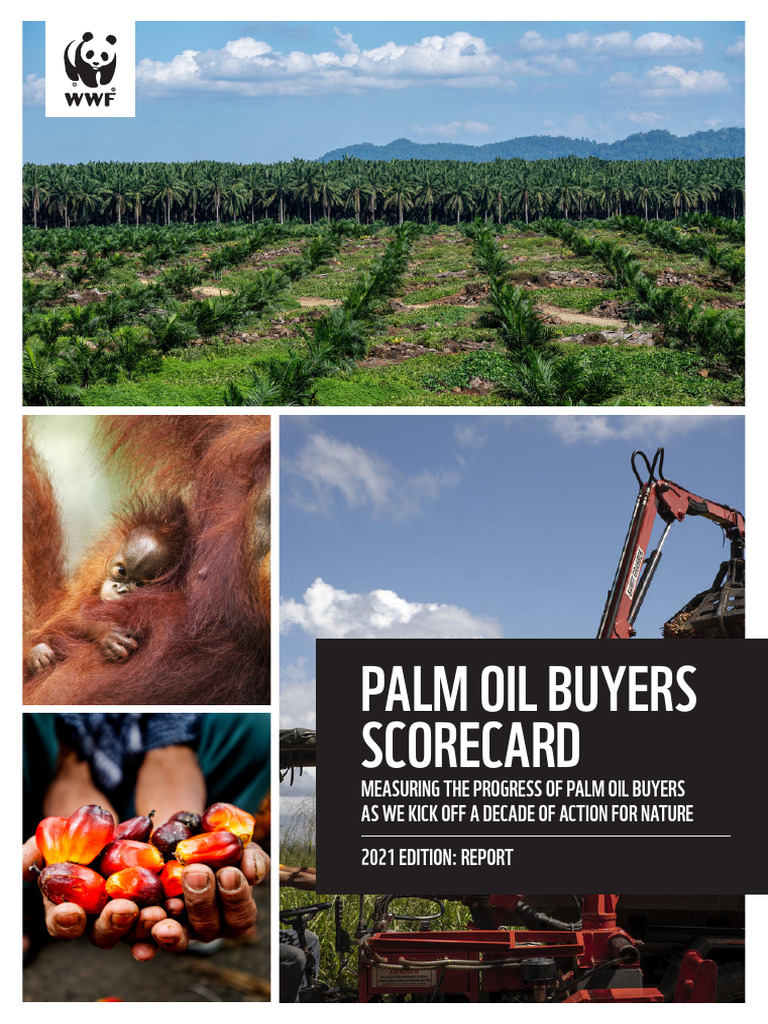 WWF 2021 Palm Oil Buyers Scorecard Full Report | PDF | Palm Oil | Deforestation