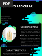 Tipos de Cemento Radicular: Acelular y Celular | PDF | Ramas de ...