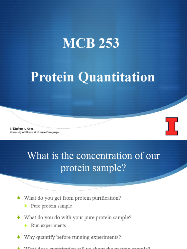 MCB 253 Protein Quantitation | PDF | Spectrophotometry | Molecular Physics