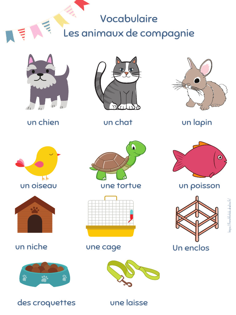 Vocabulaire des animaux de compagnie | PDF | Sciences et mathématiques