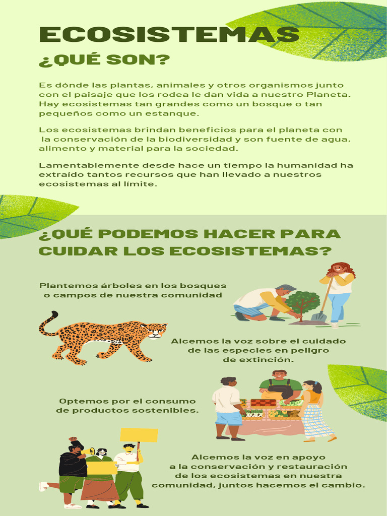 Infografía Sobre El Cuidado de Los Ecosistemas - 20240208 - 175800 - 0000 | PDF | Ciencia y ...