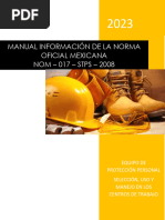 Nom 017 STPS 2008 | PDF