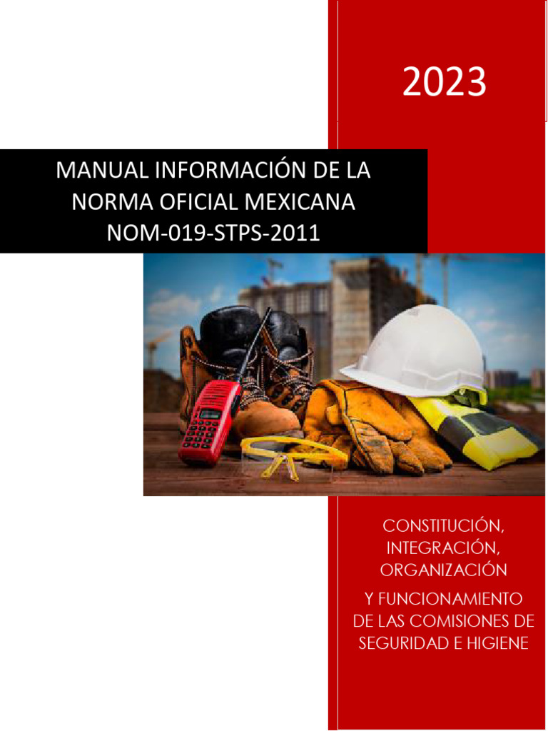 Nom 019 STPS 2011 | PDF