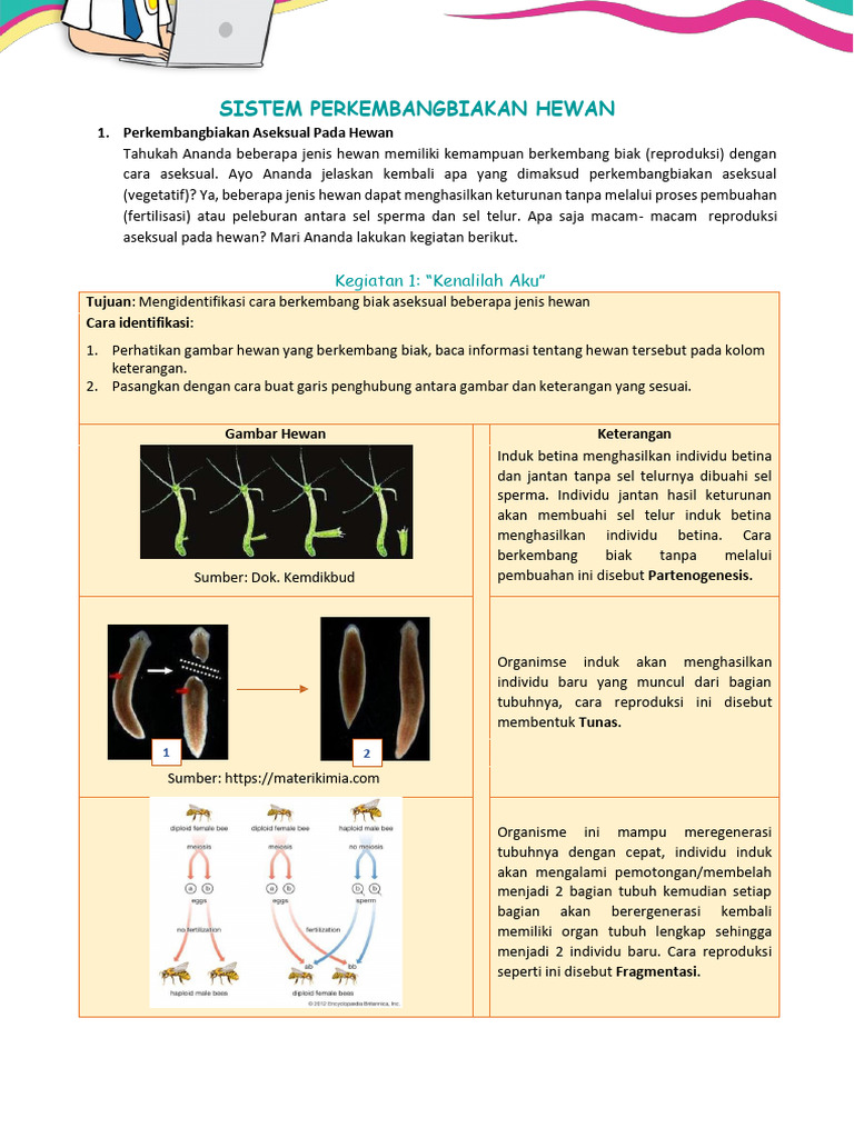 Mdul SISTEM PERKEMBANGBIAKAN HEWAN | PDF