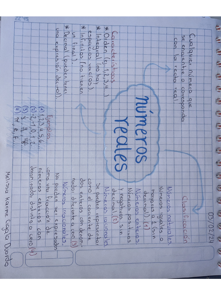 Mapa Mental Números Reales | PDF