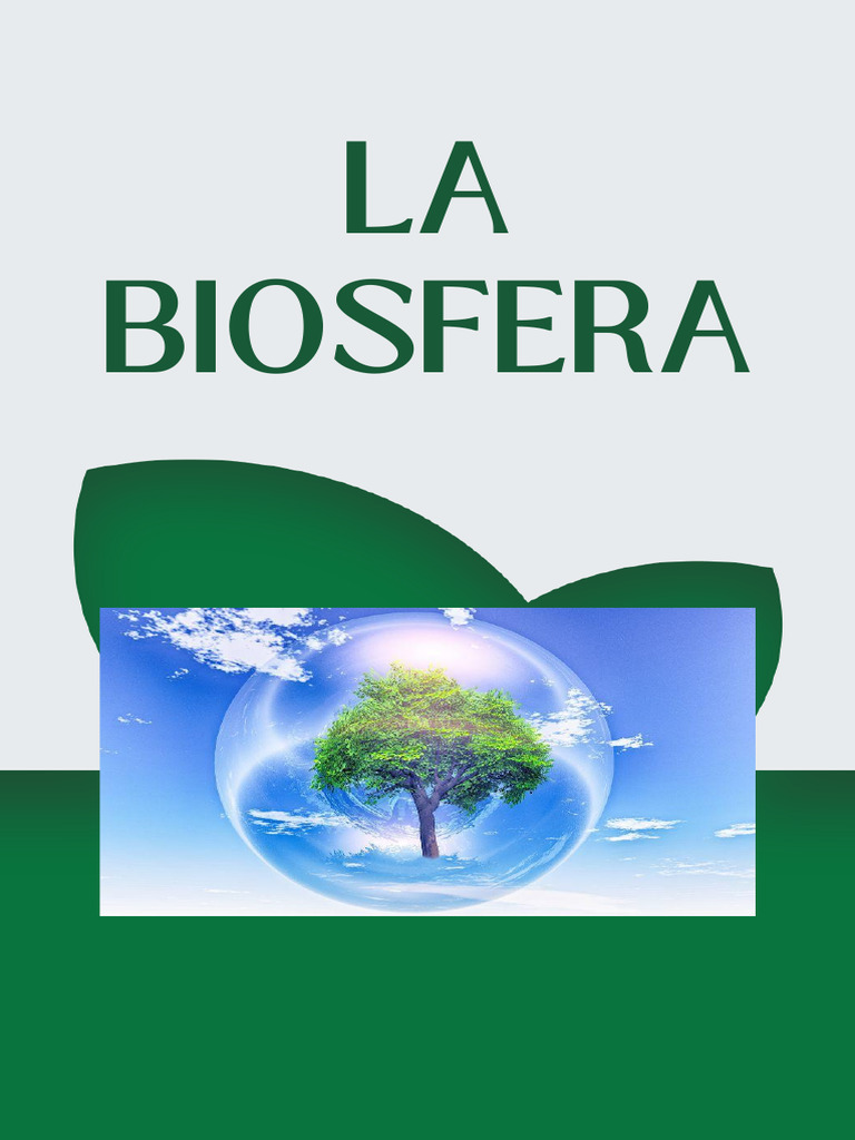 La Biosfera | PDF