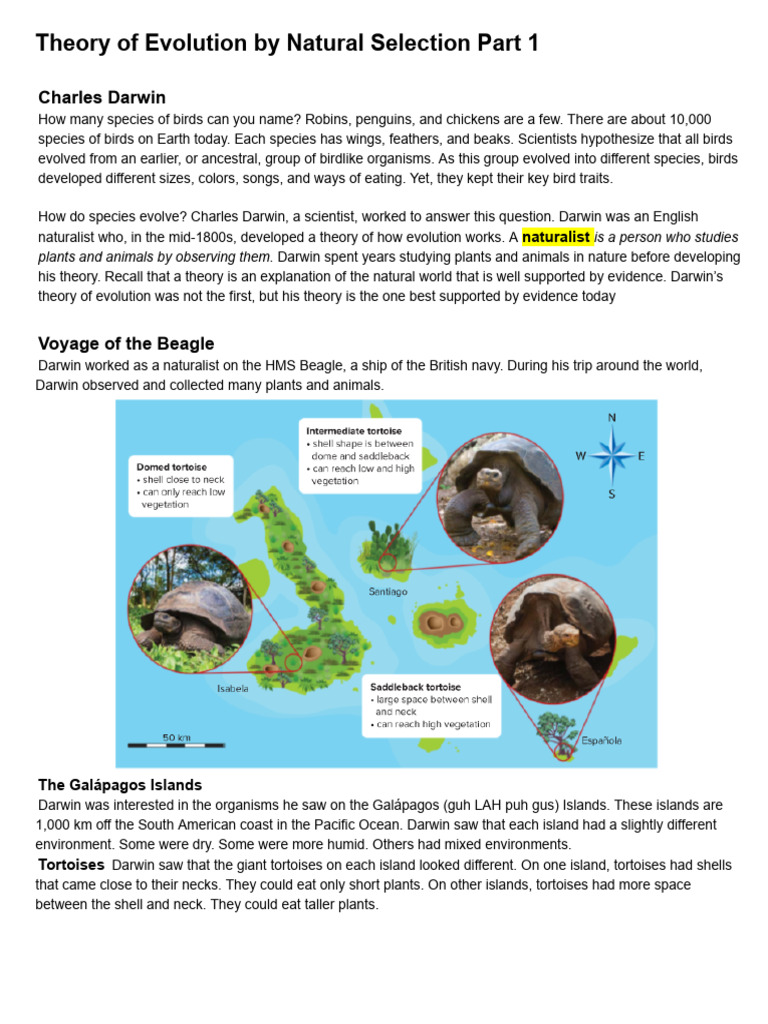 Theory Of Evolution By Natural Selection Part 1 Download Free Pdf