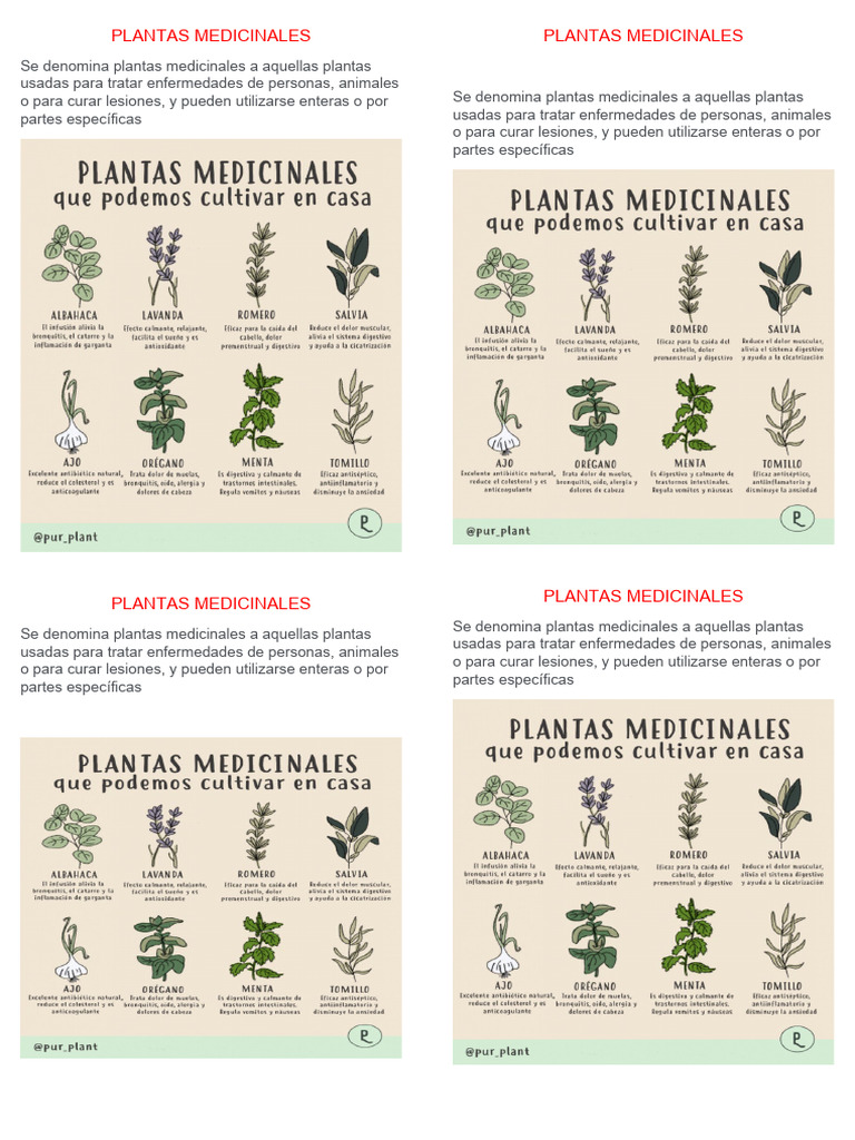 Plantas Medicinales | PDF