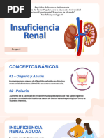 Oliguria y Anuria: Definición y Causas | PDF | Riñón | Especialidades ...