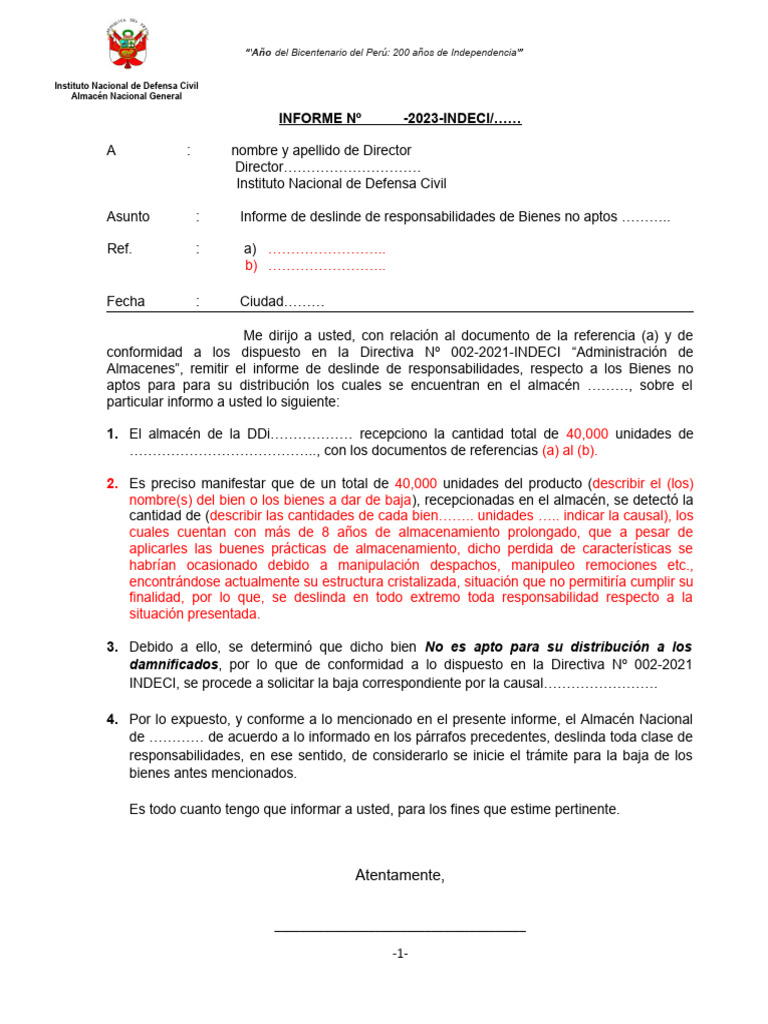 Informe de Deslinde de Responsabilidades | PDF | Hogar, jardinería y ...