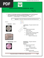 BSc 1st Year Botany Practical Guide | PDF | Plant Stem | Vector ...