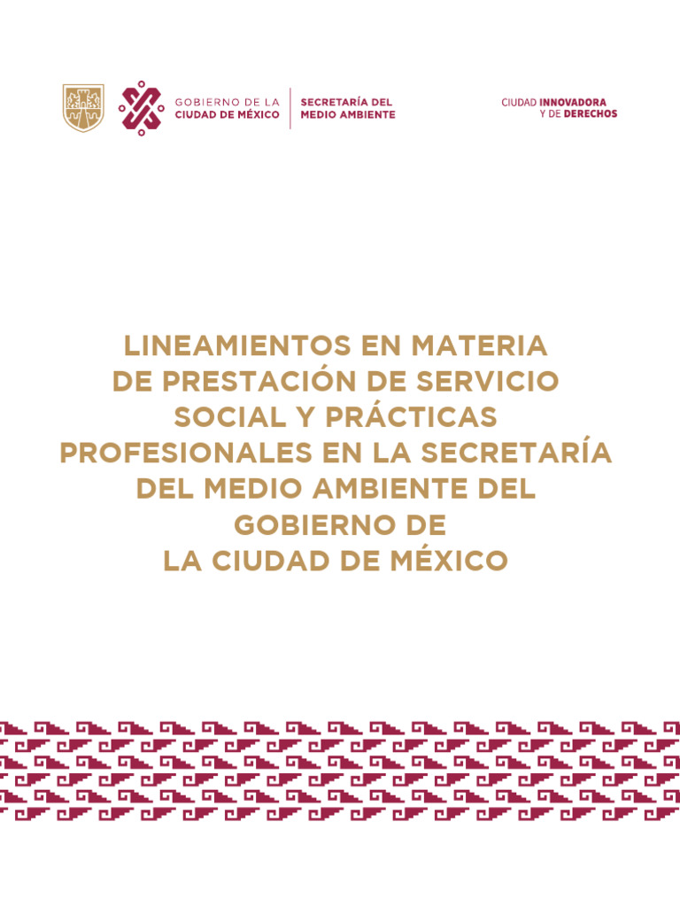 Lineamientos Internos de Servicio Social y Practicas Profesionales de ...