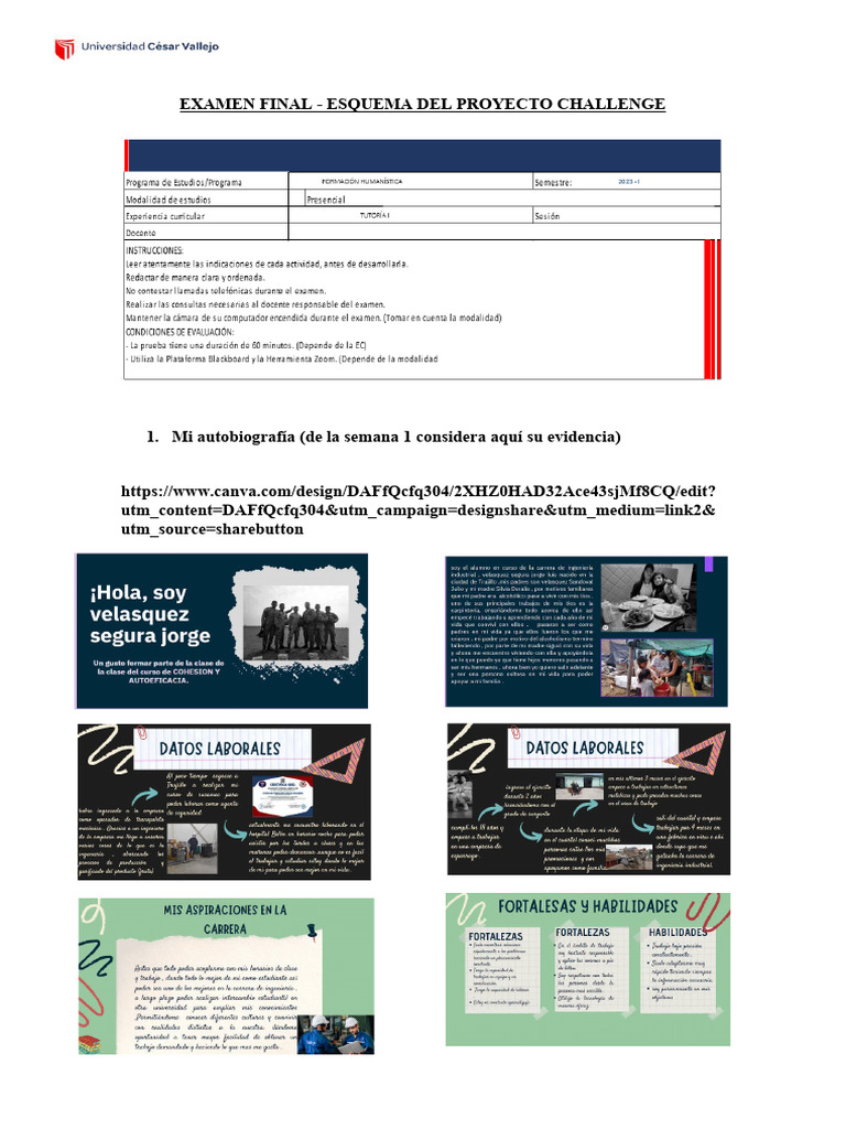 Examen Final - Proyecto Challenge 04 Tutoria | PDF | Análisis FODA | Cognición