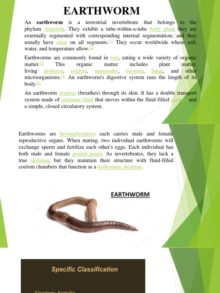 Earthworm | PDF | Soil | Horticulture